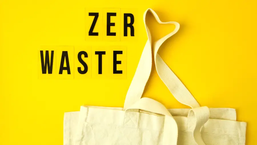 5 Simple Zero Waste Projects to Tackle This Fall | Save.com